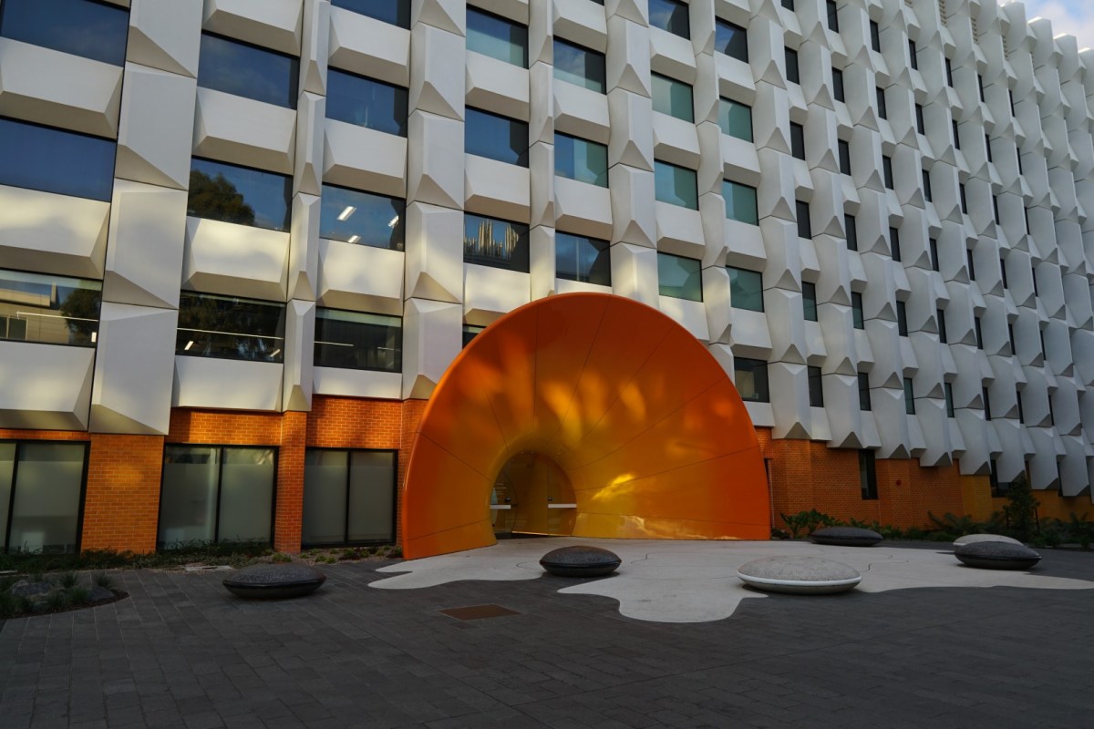 The Experimental Evolutionary Biology Lab | Damian Dowling's research ...